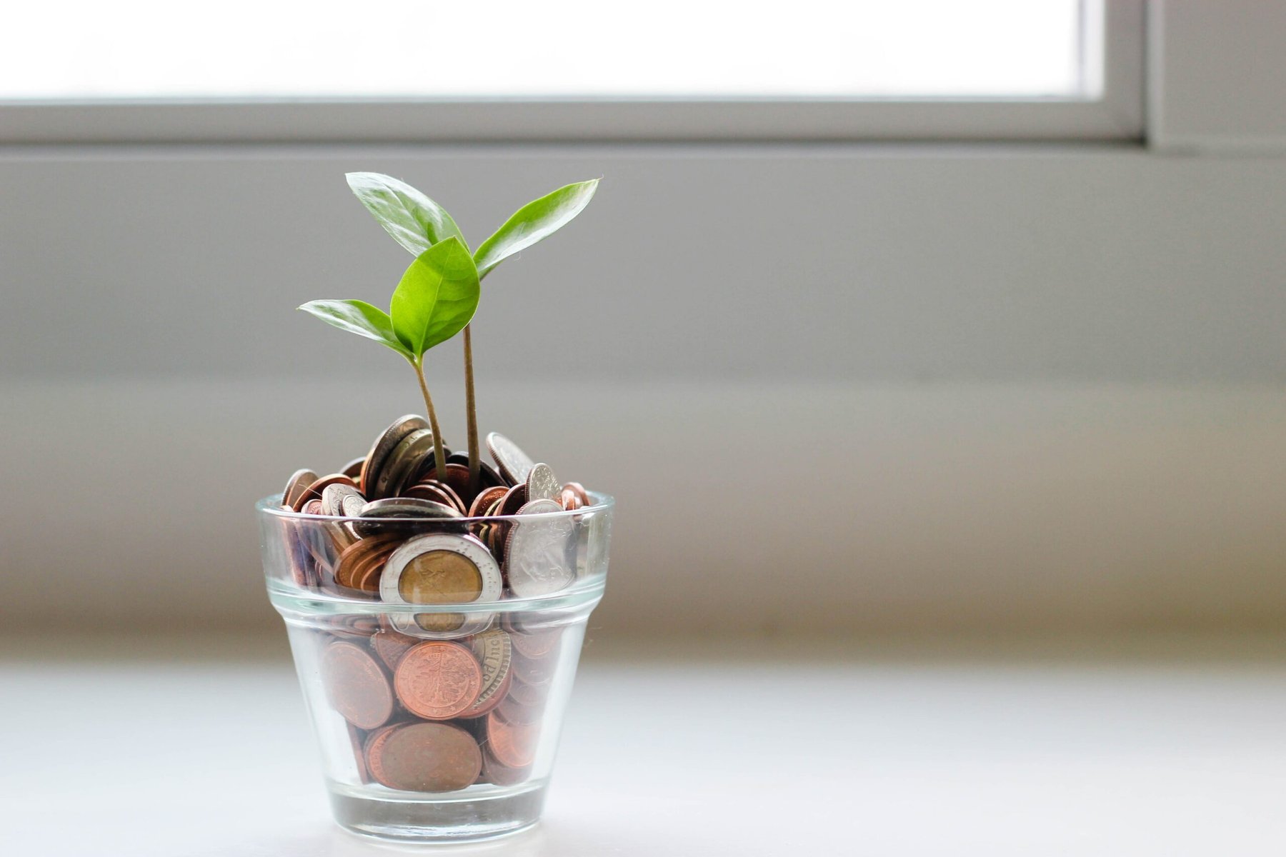 Breadwinner Budget: 10 Money Tips for the Breadwinner of the Family